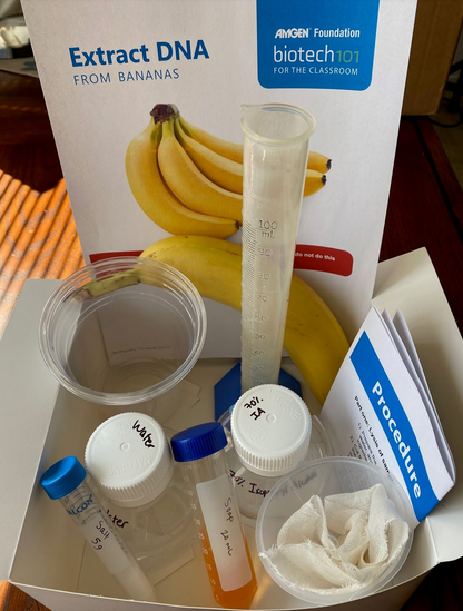 Called into Action: Creating an At-Home Lab to Reach the ...